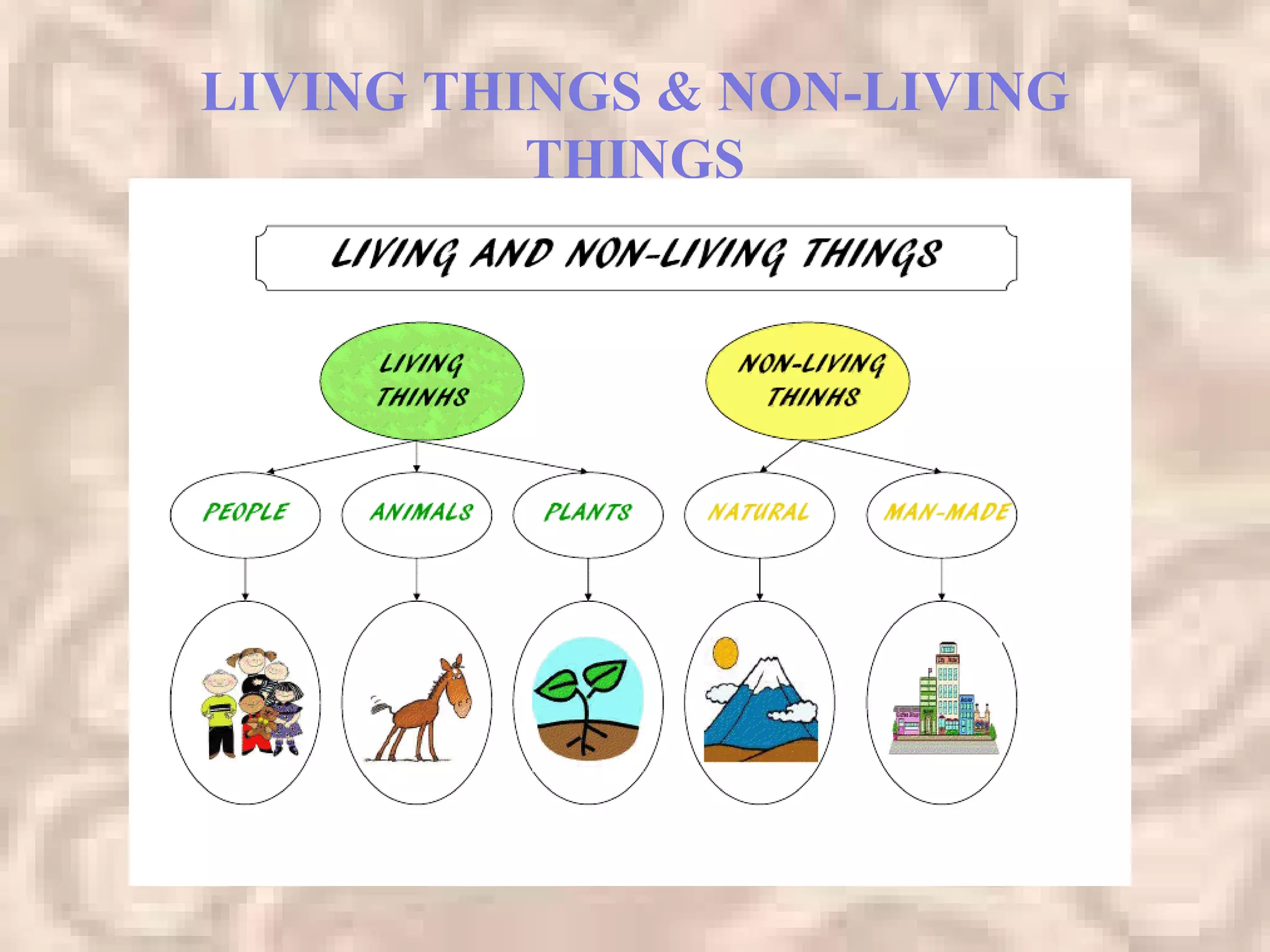 LIVING THINGS: ANIMALS | PPT | Reptiles | Pets