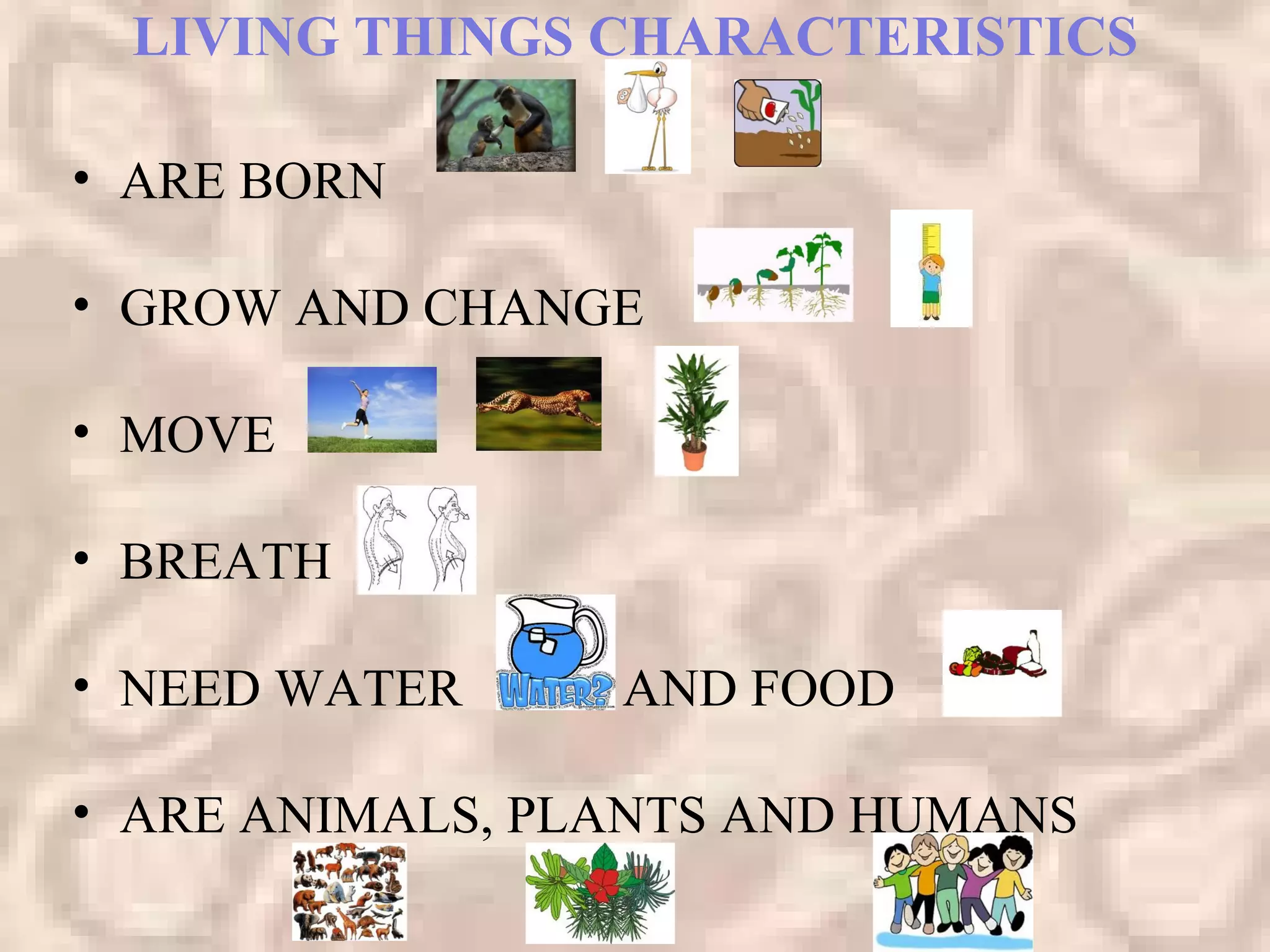 LIVING THINGS: ANIMALS | PPT | Reptiles | Pets