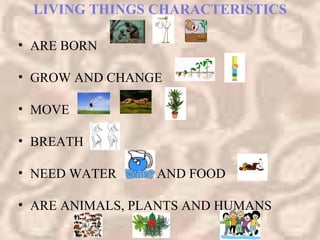 LIVING THINGS: ANIMALS | PPT | Reptiles | Pets