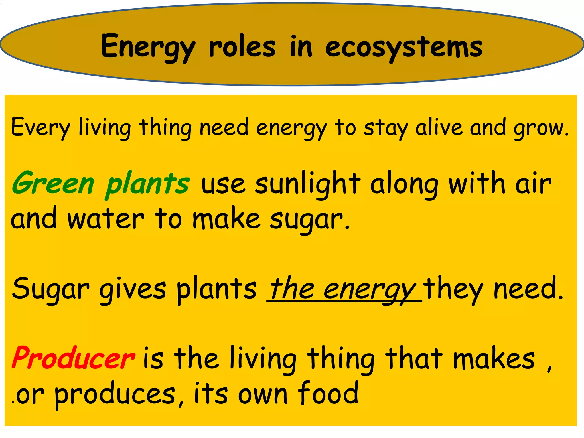 Living things get energy | PPT