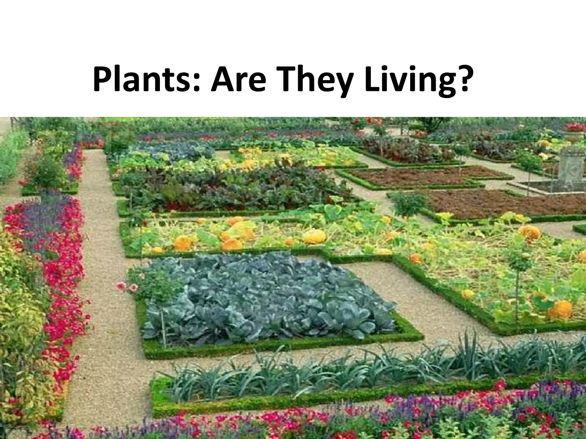 Living things grow and change | PPT