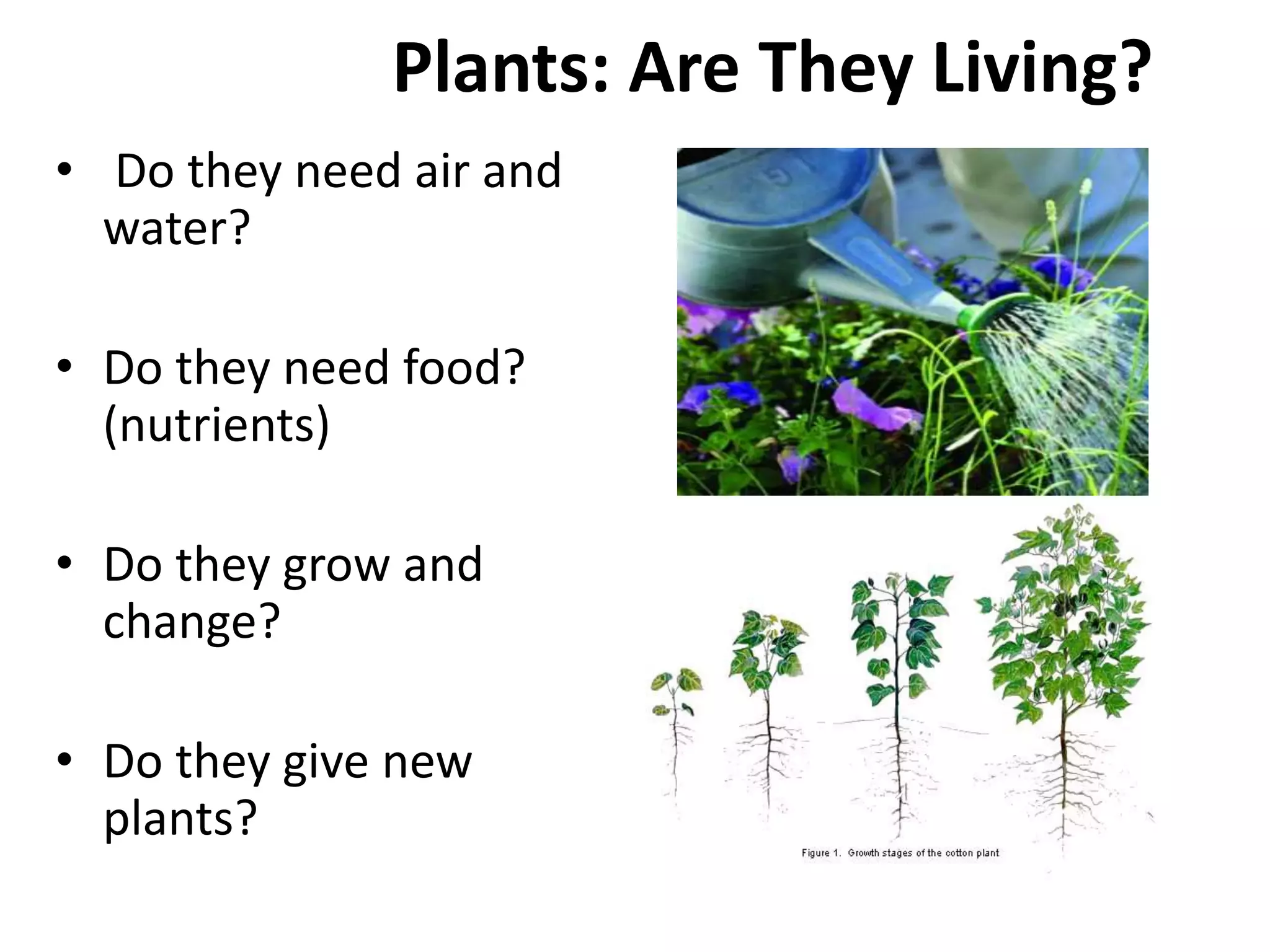Living things grow and change | PPTX