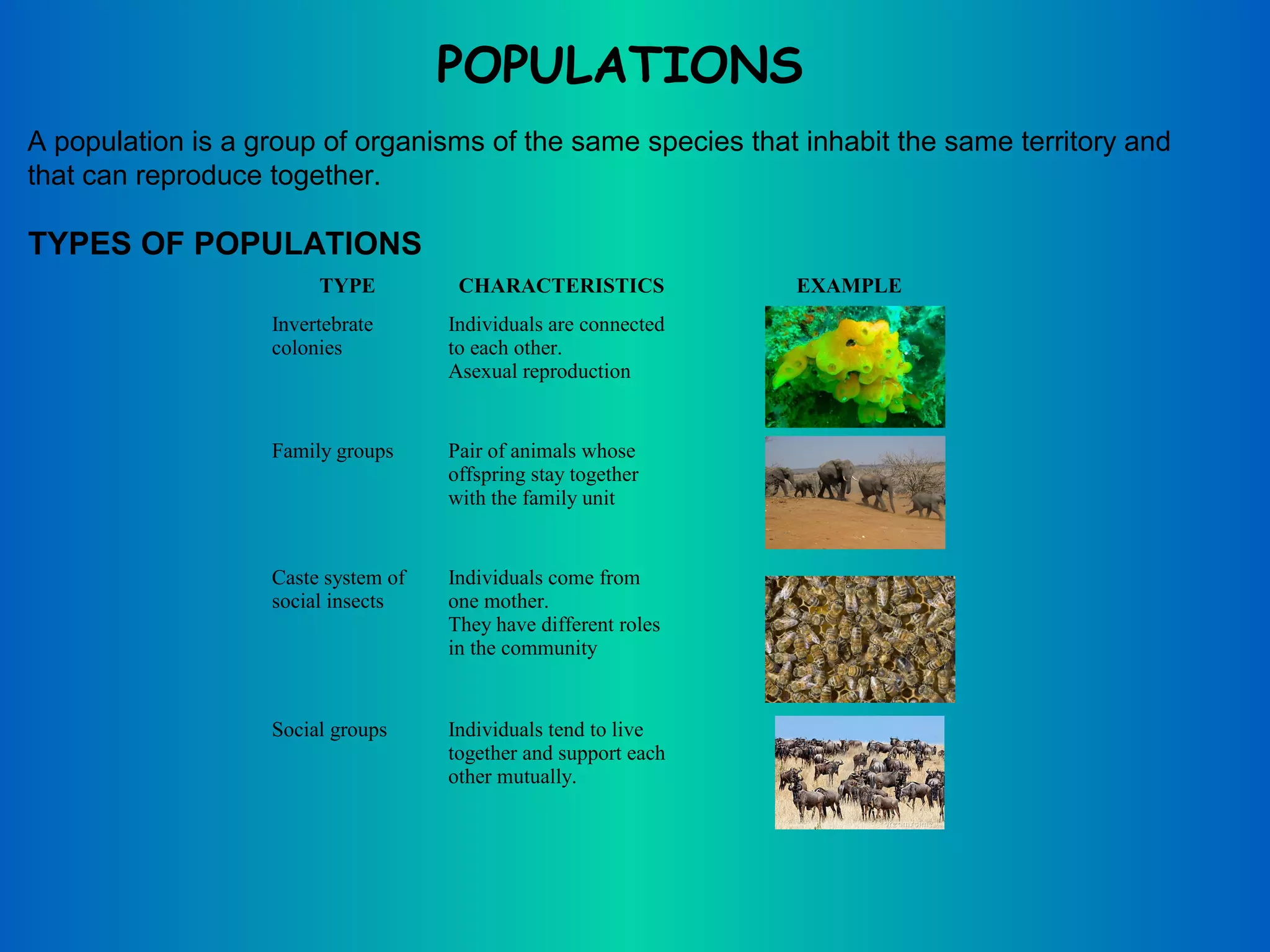 Living things in their environment | PPT