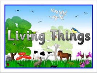 living things, mamacu yan.pptx