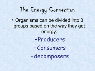 Living things need energy | PPT | Biological Sciences | Science