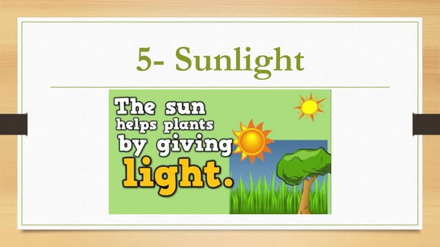 Living things needs | PPTX