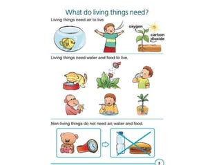 Living things needs | PPT