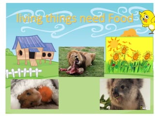 Living things needs | PPT