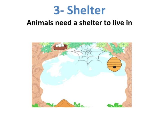 Living things needs1 | PPT