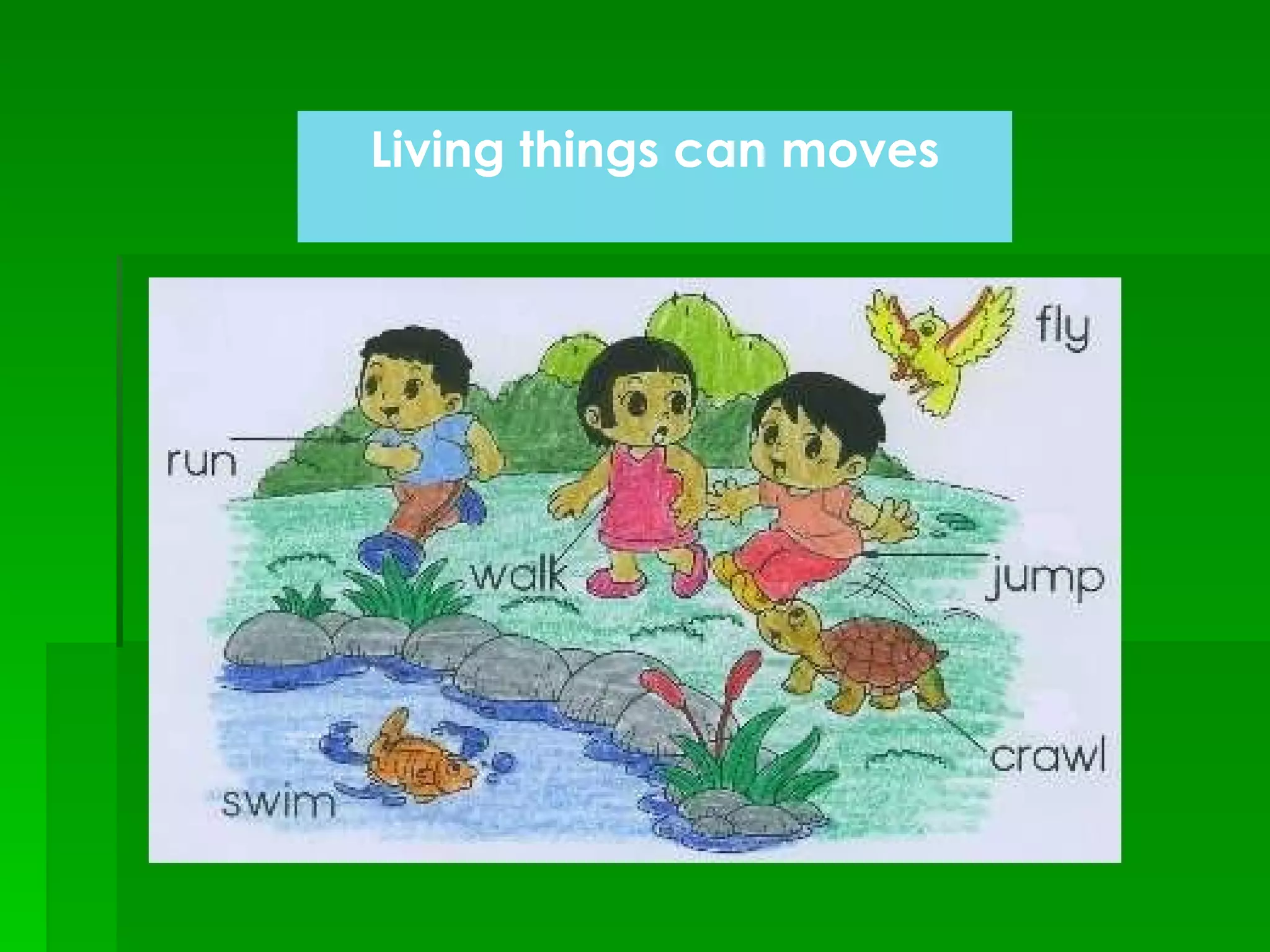 Living things & non living things | PPT