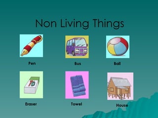 Living things & non living things | PPT