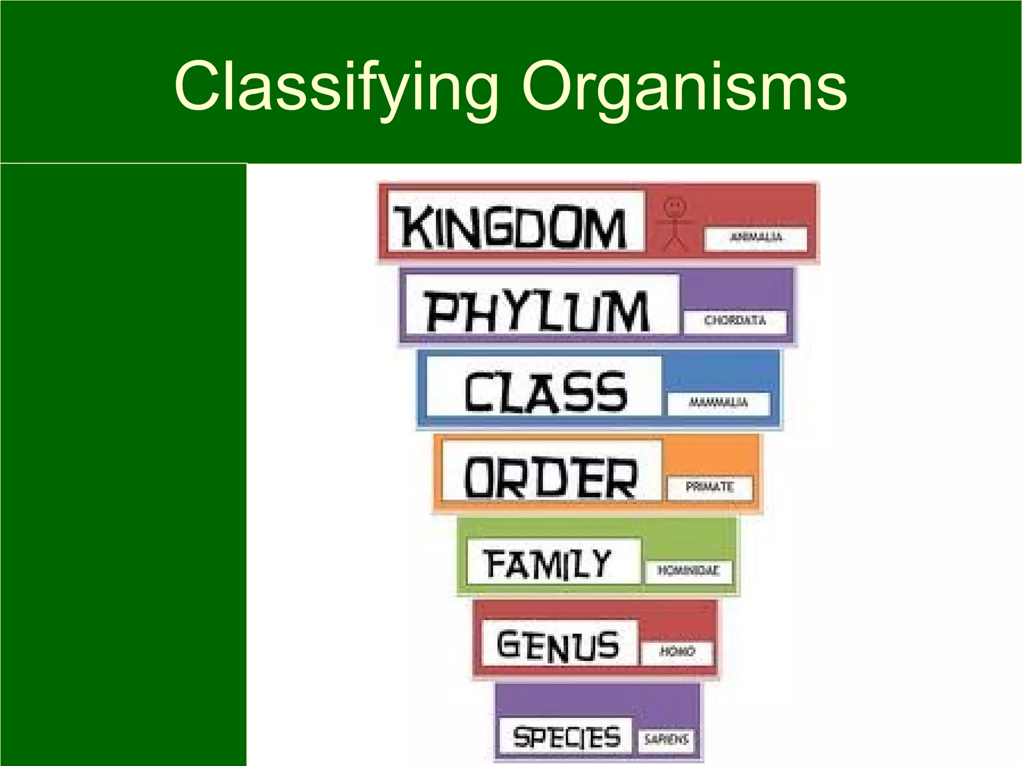 Living things classification | PPT
