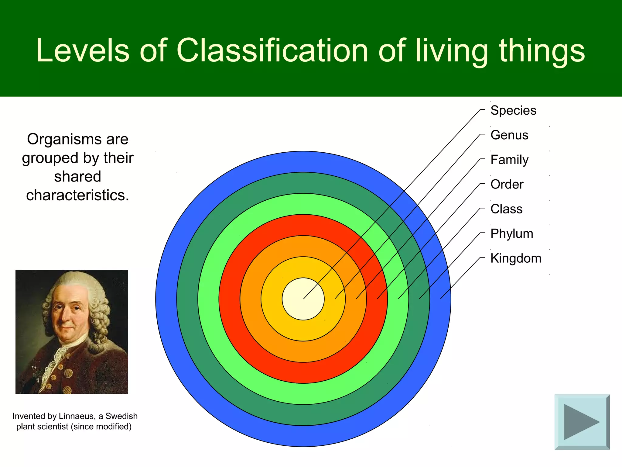 Living things classification | PPT