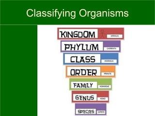Living things classification | PPT