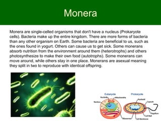 Living things classification | PPT