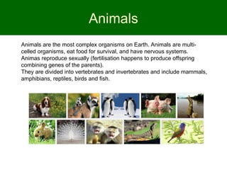 Living things classification | PPT