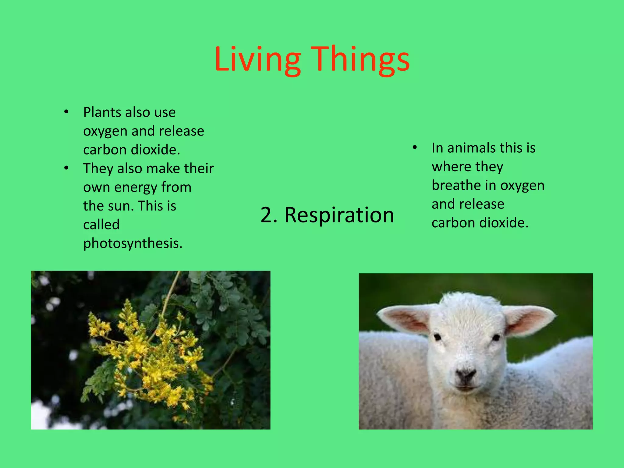 Living things powerpoint | PPTX