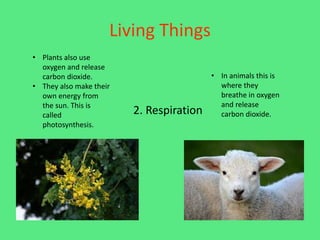 Living things powerpoint | PPTX