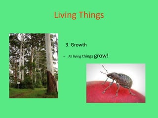 Living things powerpoint | PPTX