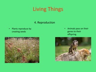 Living things powerpoint | PPTX