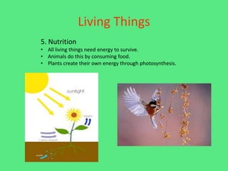Living things powerpoint | PPTX