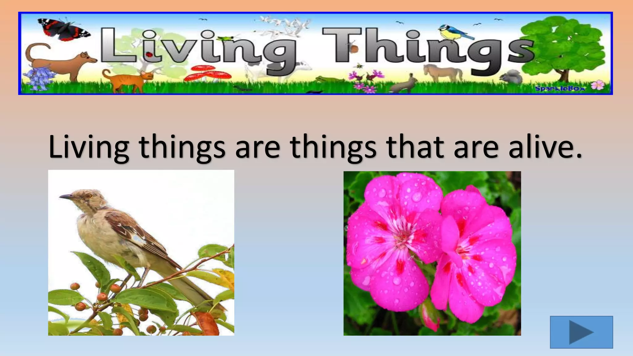 Living and non-things ppt | PPTX