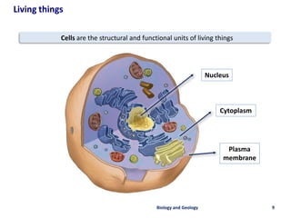 living_things_presentation.pdf