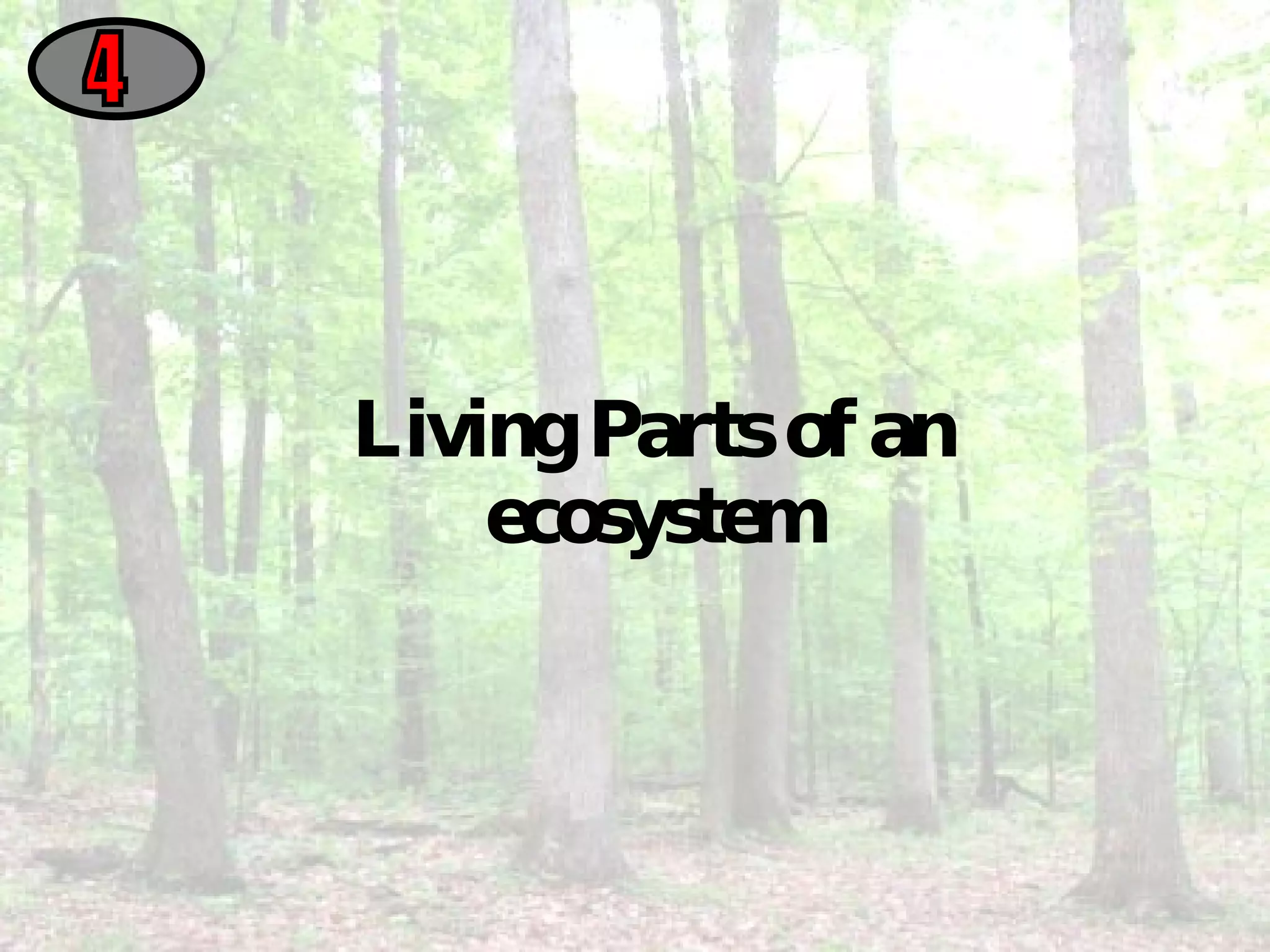 Living Things & The Environment | PPT