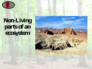 Living Things & The Environment | PPT