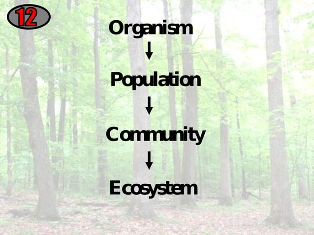 Living Things & The Environment | PPT | Biological Sciences | Science