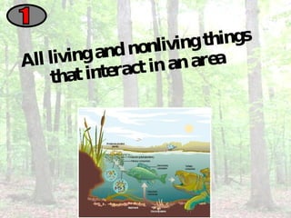 Living Things & The Environment | PPT
