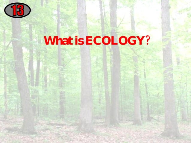 Living Things & The Environment | PPT | Biological Sciences | Science