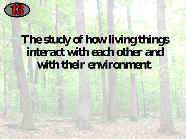 Living Things & The Environment | PPT | Biological Sciences | Science