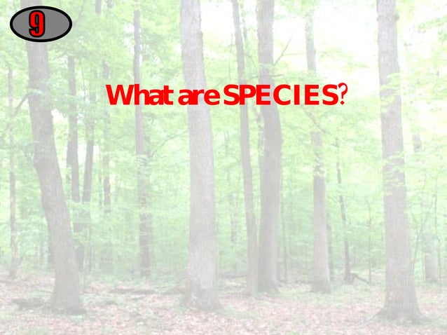 Living Things & The Environment