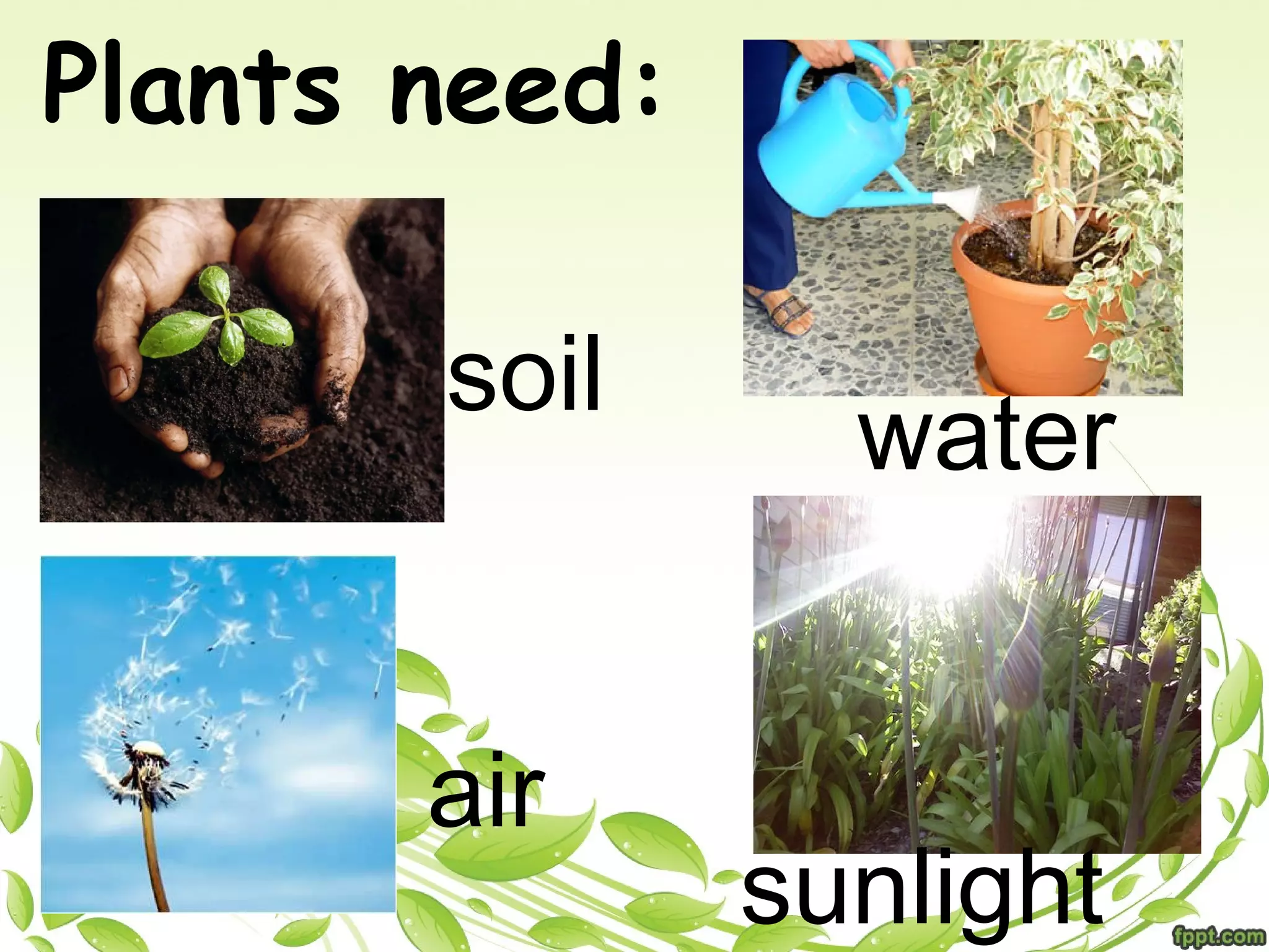 Living things unit4 | PPT