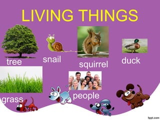 Living things unit4 | PPT