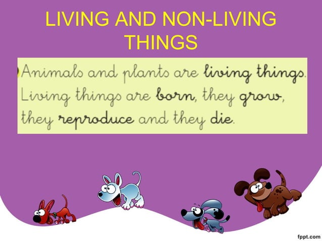 Living things unit4 | PPT