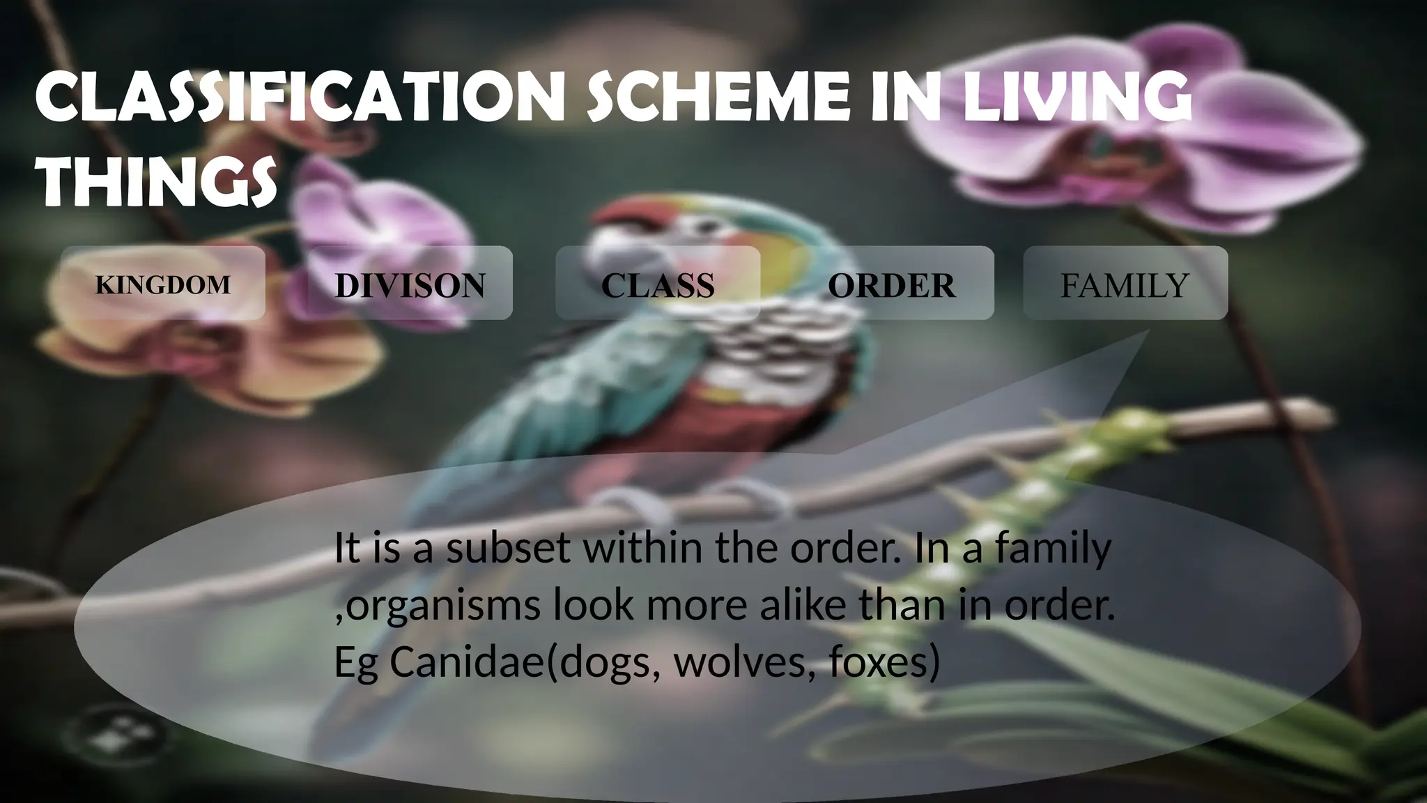 living tings and non living things in the world.pptx