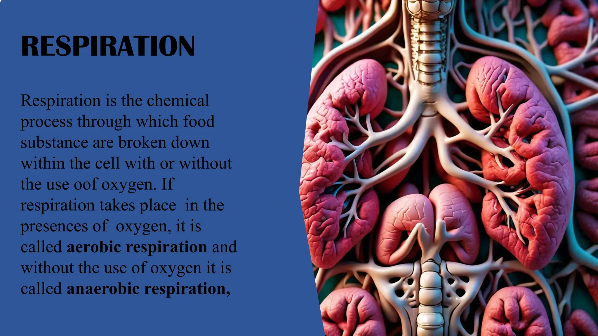 living tings and non living things in the world.pptx