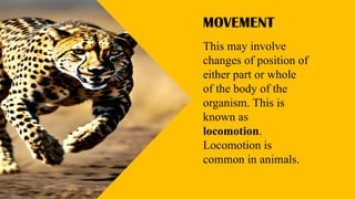 living tings and non living things in the world.pptx