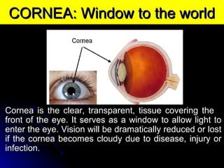 Living twice ppt | PPT