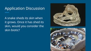 Living (Biotic) versus Nonliving (Abiotic) | PPTX