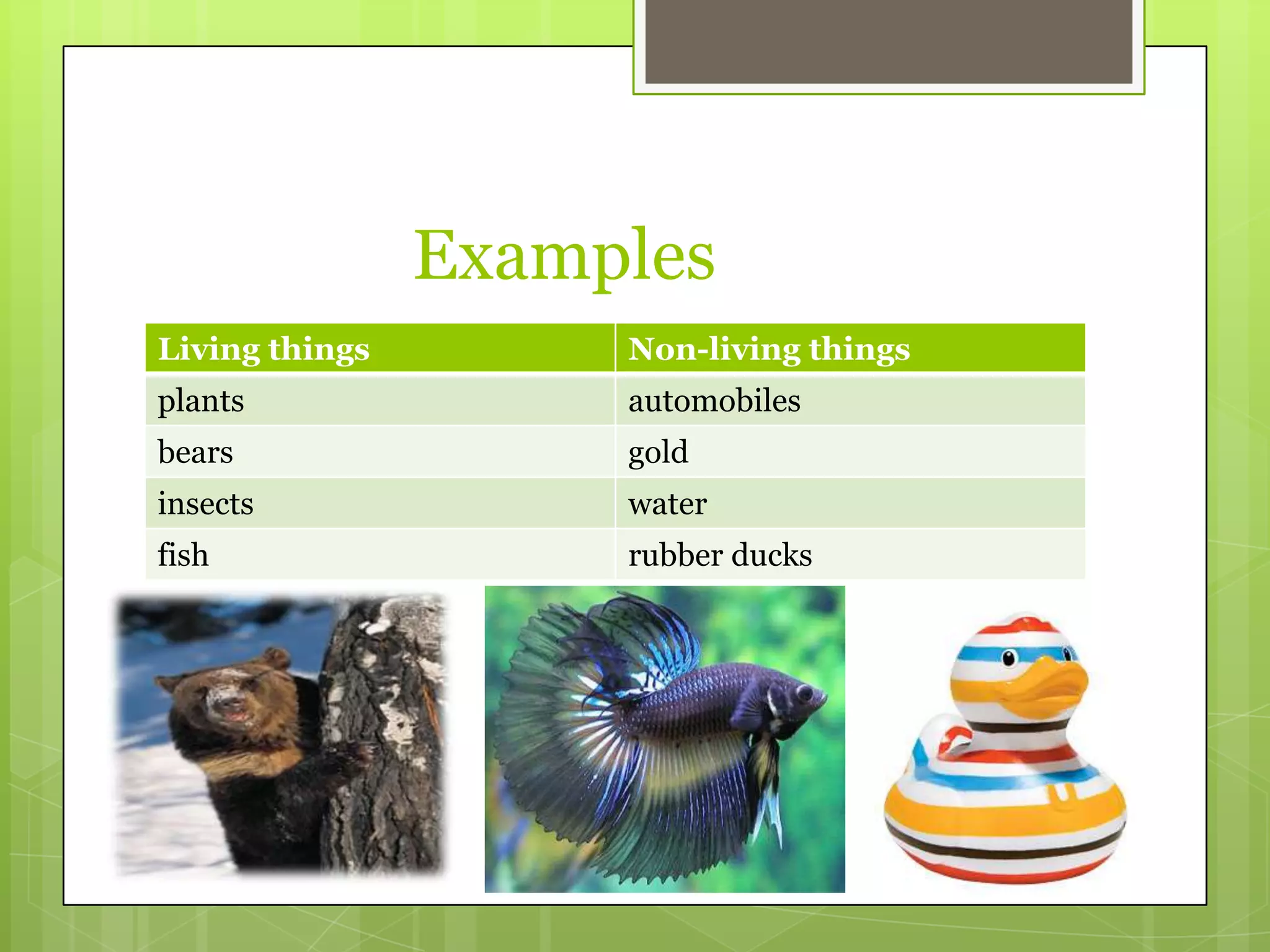 Living vs non living resources | PPTX