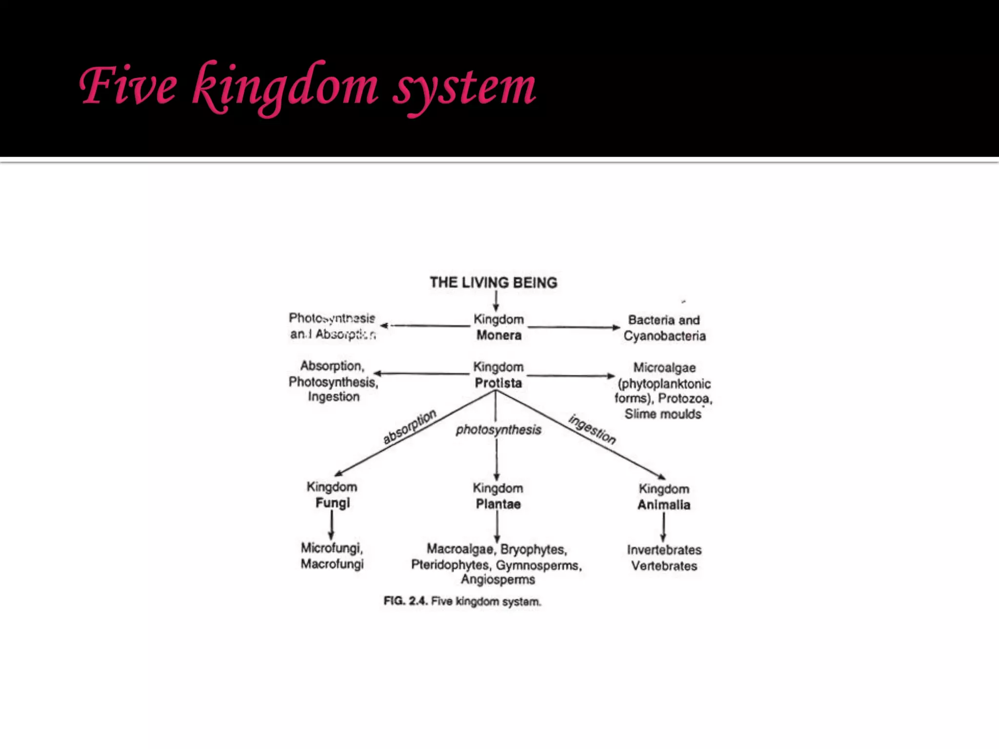 Living world and classification of microbes pdf. | PDF