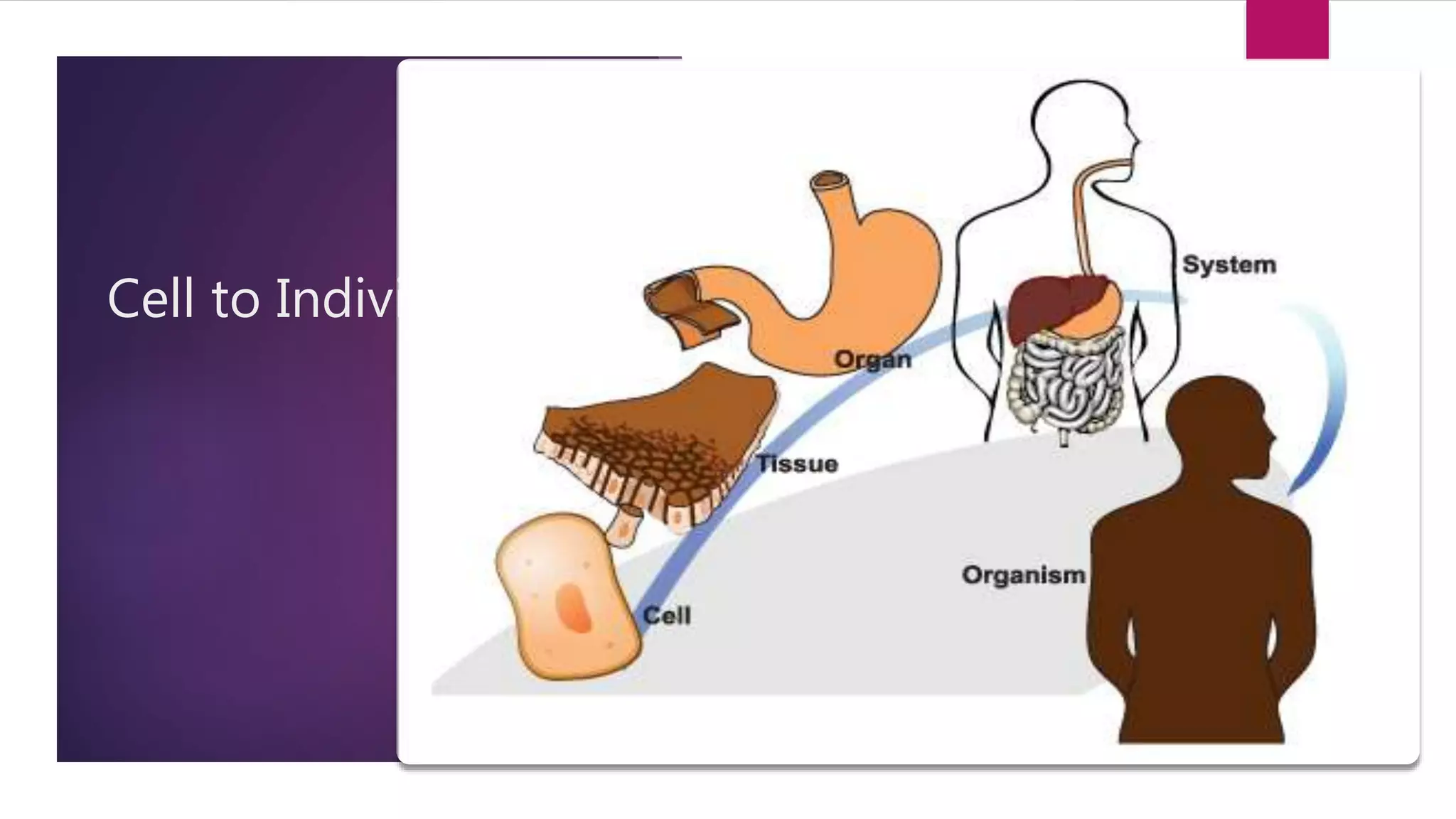 introduction to biology .chapter 1 (1st year ) | PPTX