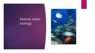 introduction to biology .chapter 1 (1st year ) | PPTX