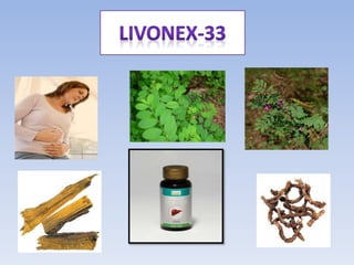Livonex 33 | PPTX | Herbs and Supplements | Alternative Medicine