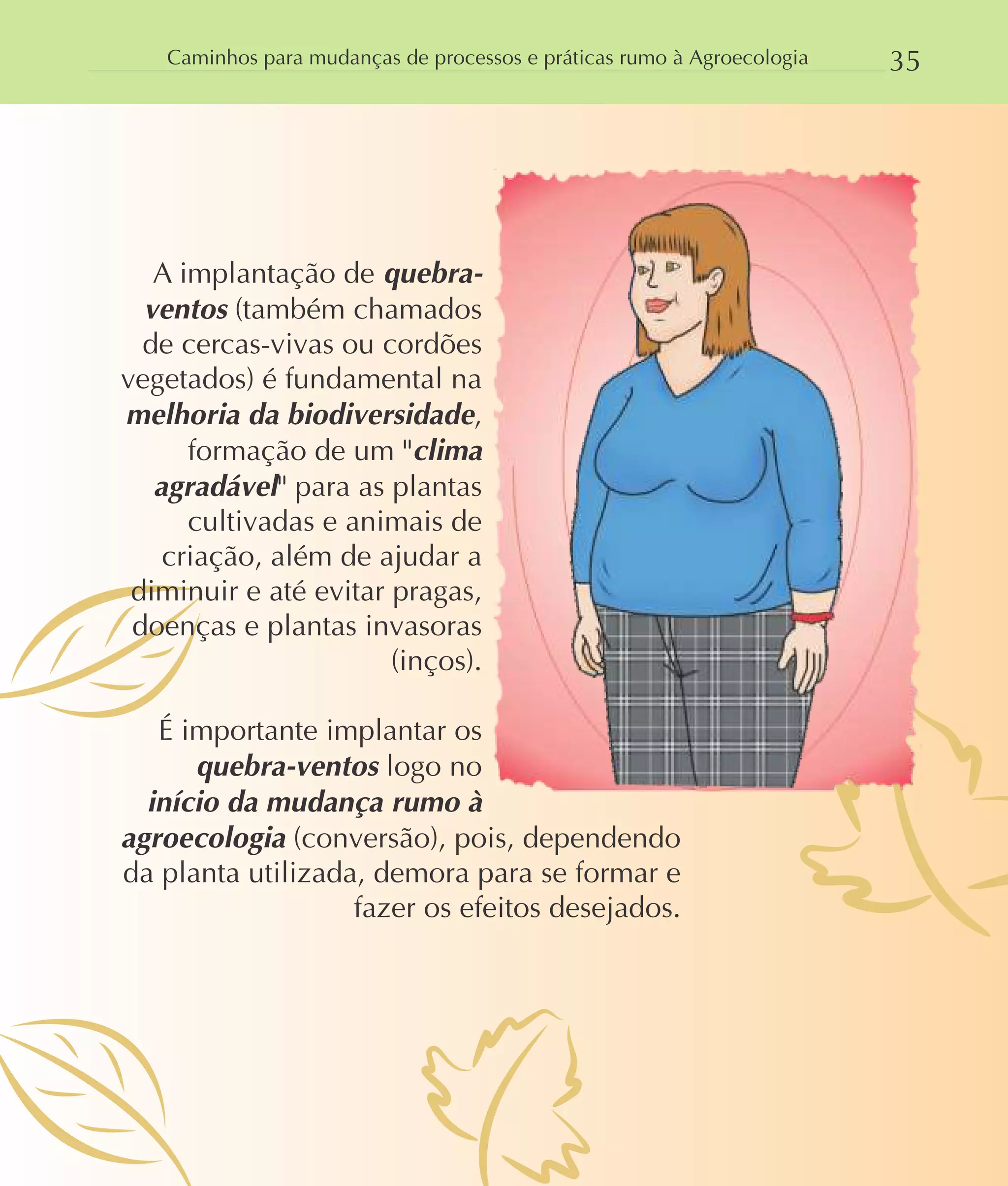 Livro Agroecologia | PDF