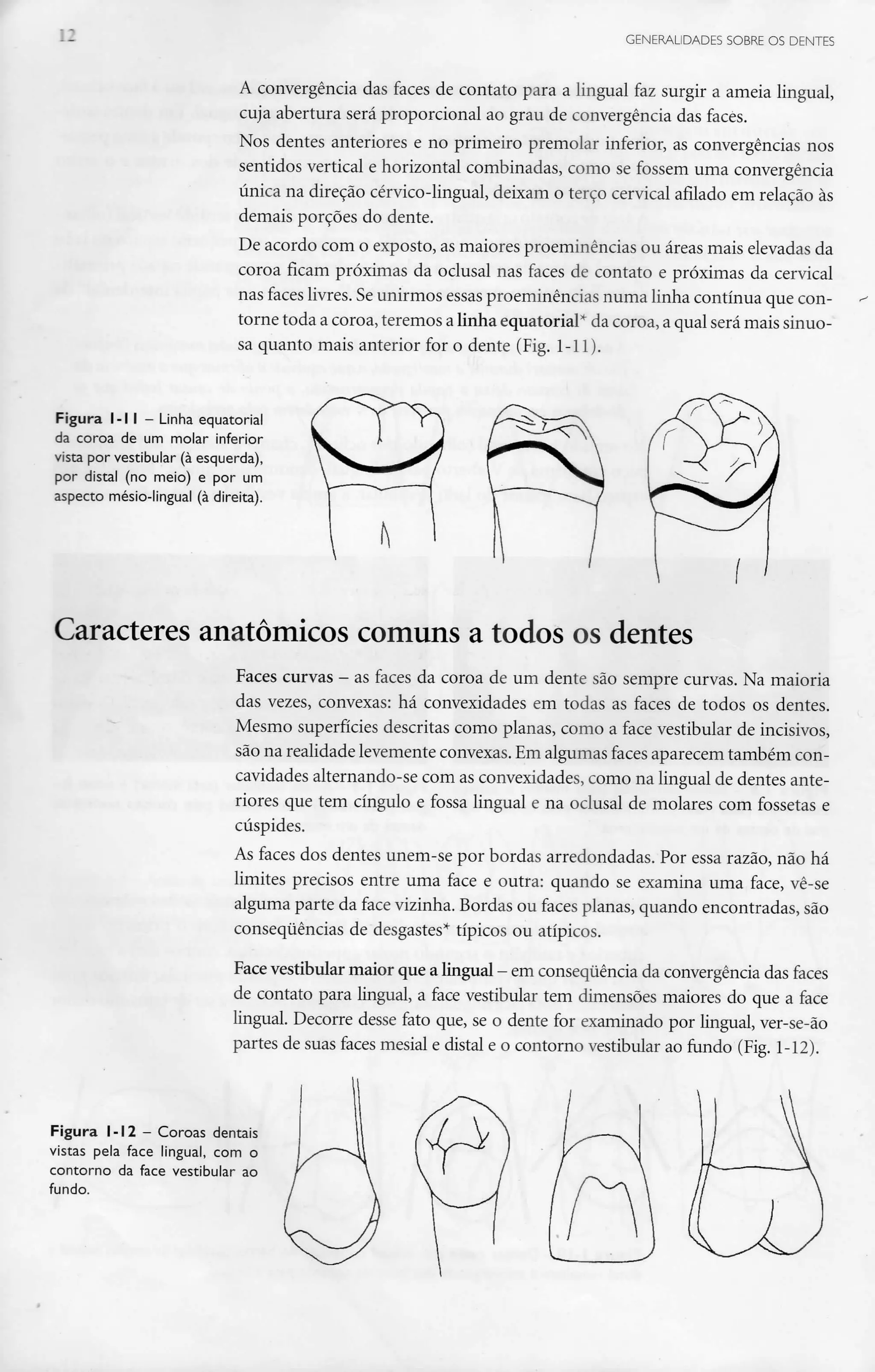 Livro: Anatomia do dente | PDF | Dental Health | Diseases and Conditions