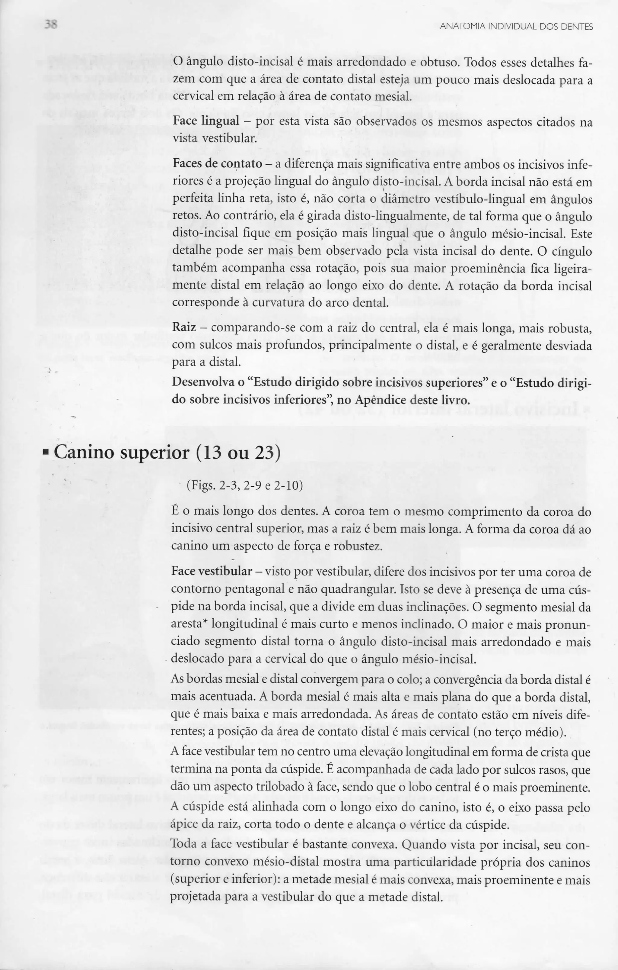 Livro: Anatomia do dente | PDF